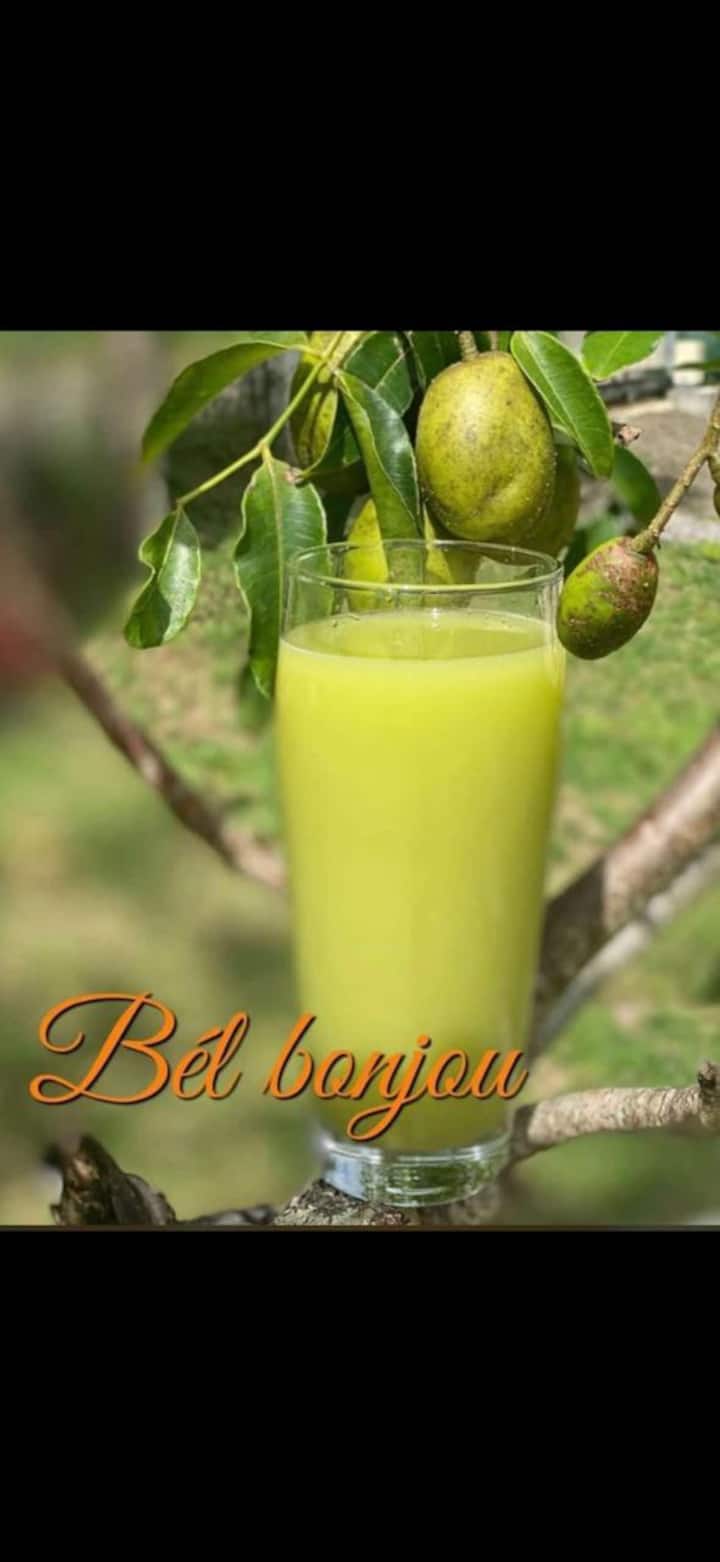 Jan Appt - Fort-de-France