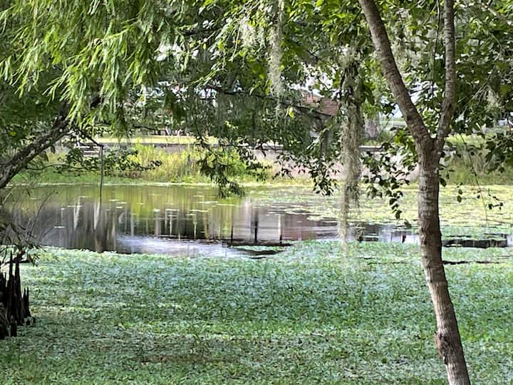 River Front Property. Cozy Cottage. - Withlacoochee State Forest, Brooksville