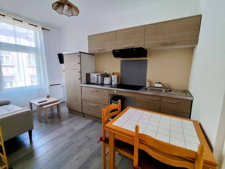 Berck 100m Plage Et Commerces - Quend Plage
