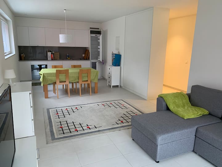 Monolocale A Bellinzona - Bellinzone