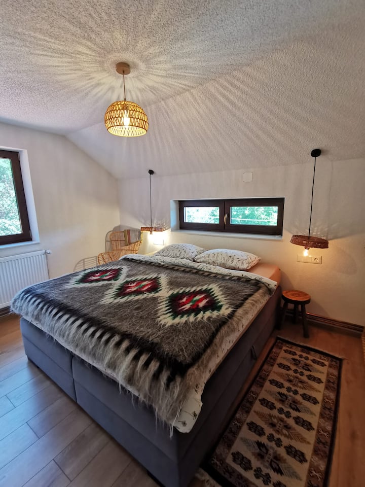 Tihna Din Ardeu - Entire House - Zlatna