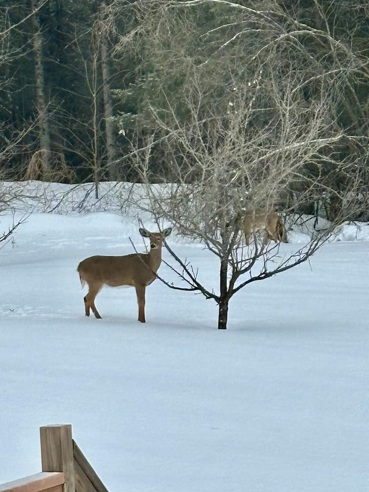 Cozy Canadian Crimson Cabin: King & Queen Rooms - Hawkesbury