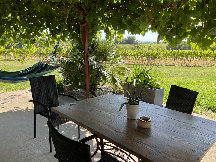 Maison De Campagne Avec Grand Jardin - Nogaro