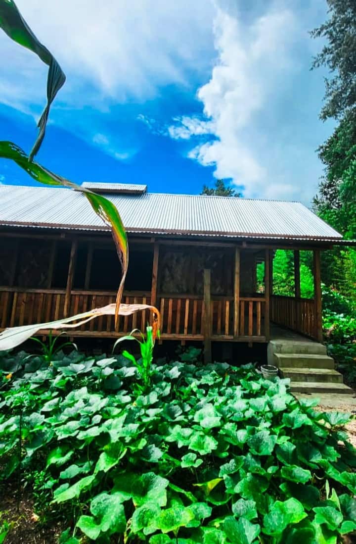 The Wooden Haven - Dorm For Ziro Music Festival - Ziro
