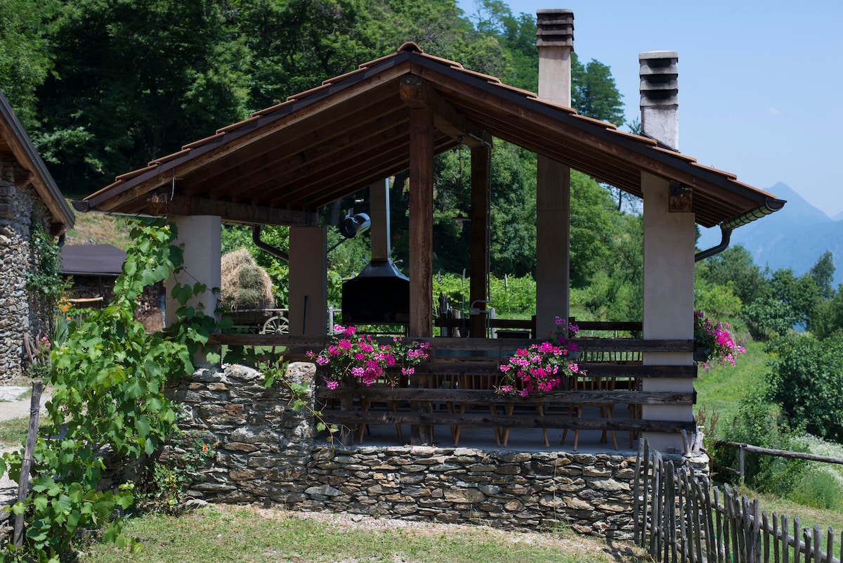 Maso Piatelle - Salamander - Apartments for Rent in Caldonazzo ...