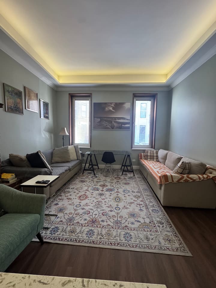 Nice Large 1 Br Apartment In Oldtown - Lincoln Park - Chicago