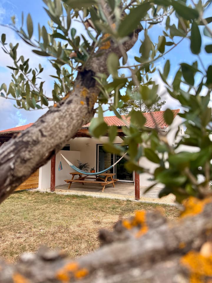 Sunrise Loft 03 - Odeceixe