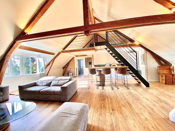Un Loft D’exception Pour Un Séjour Inoubliable - Aisne