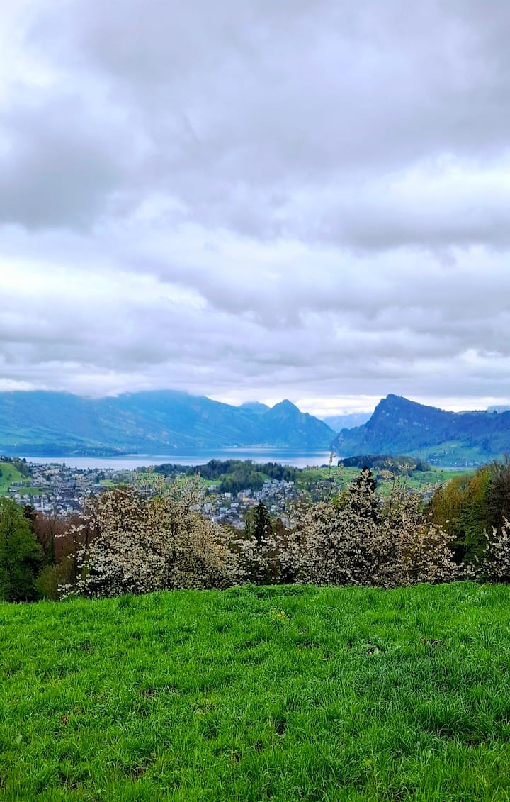 Tiny Wood Shack-with Amazing Views - Stans