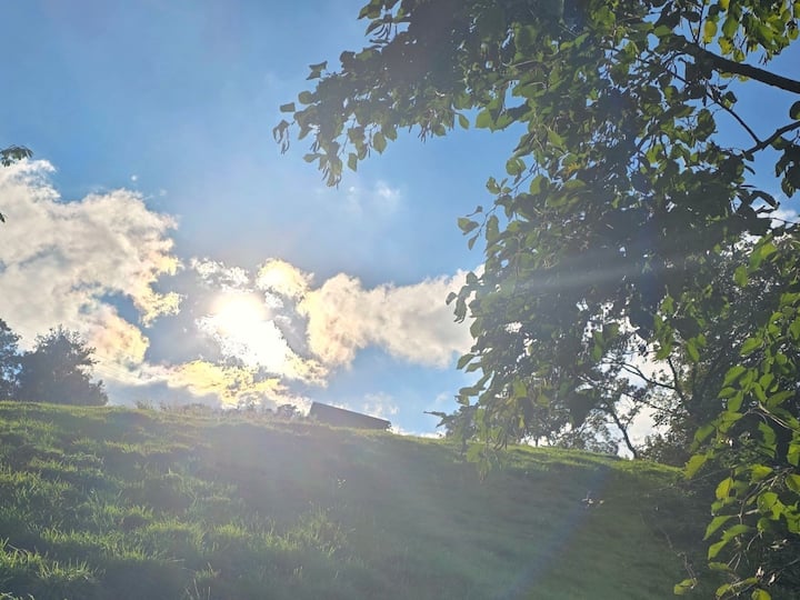 Tiny Wood Shack-with Amazing Views - Lucerne