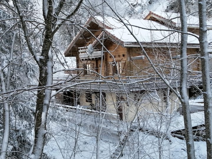 Appartement Col De La Faucille - Gex