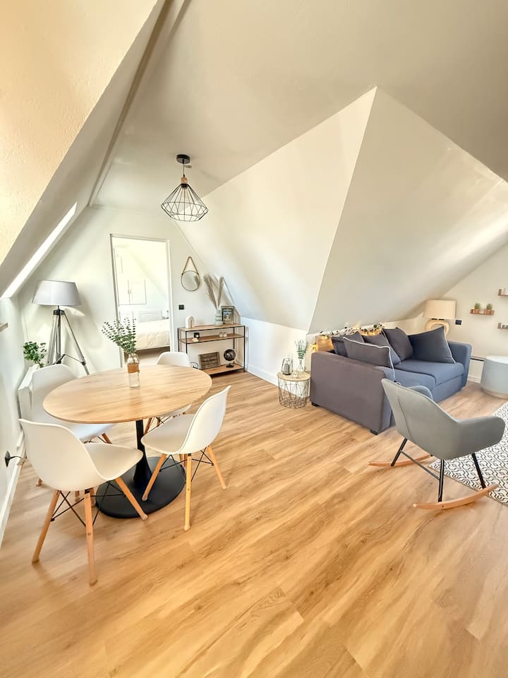 Appartement Cosy Et Confort – Vues D’exceptions - Haguenau