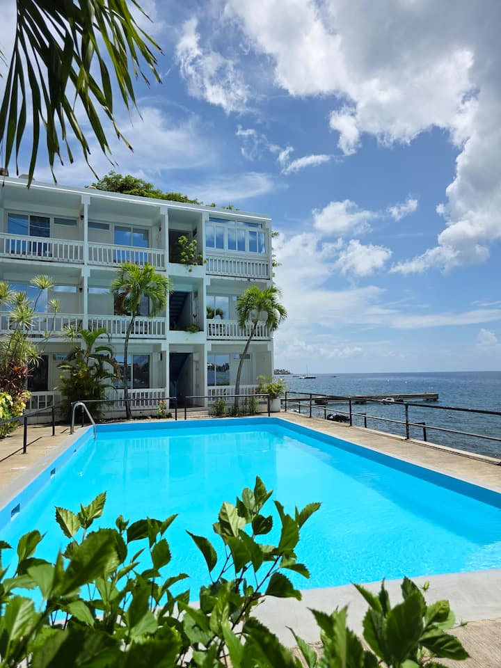 Boutique Oceanfront Hotel Room With Pool - Dominica