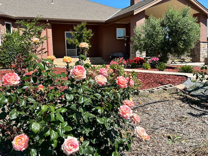 Wake Up To Nature | Peaceful Country Escape - Antioch, CA