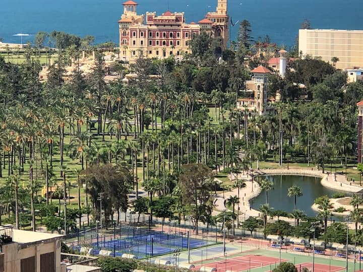 المنتزه .رويال بلازا
كارفور ، Cib, Kfc أسفل البرج - Alejandría