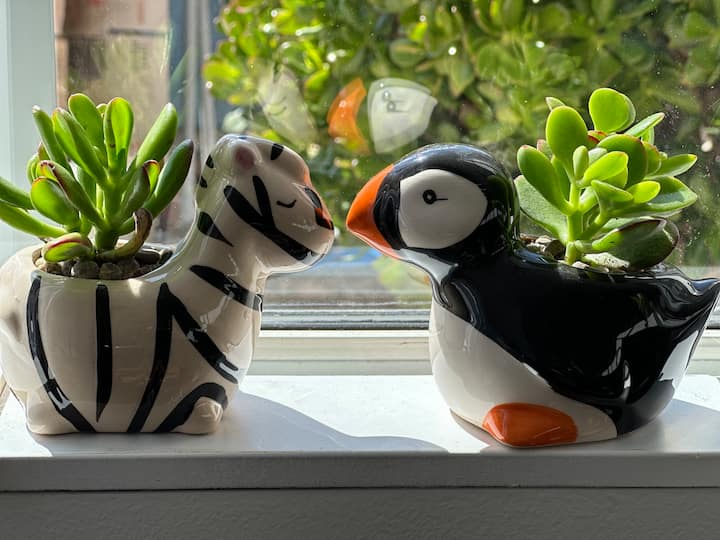 Cozy Home Near Beaches, Lax, Sofi, Intuit Dome,405 - Torrance, CA