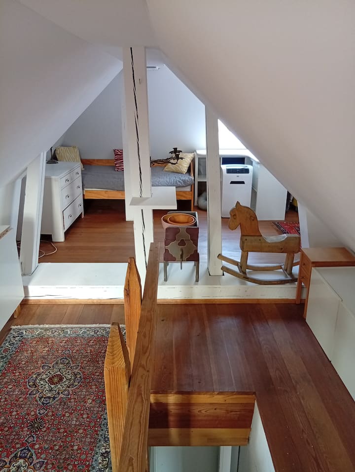 Dachgeschoss, 100m Vom Stadtturm Auf 2 Ebenen. - Straubing