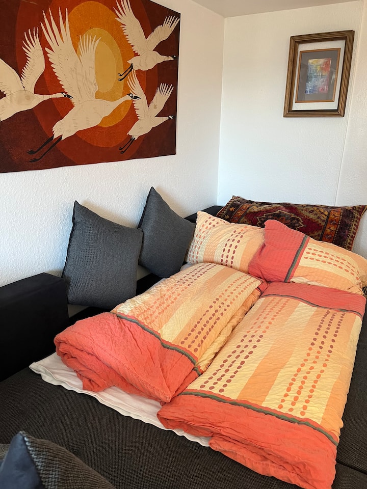 Small Attic Apartment - Bregenz