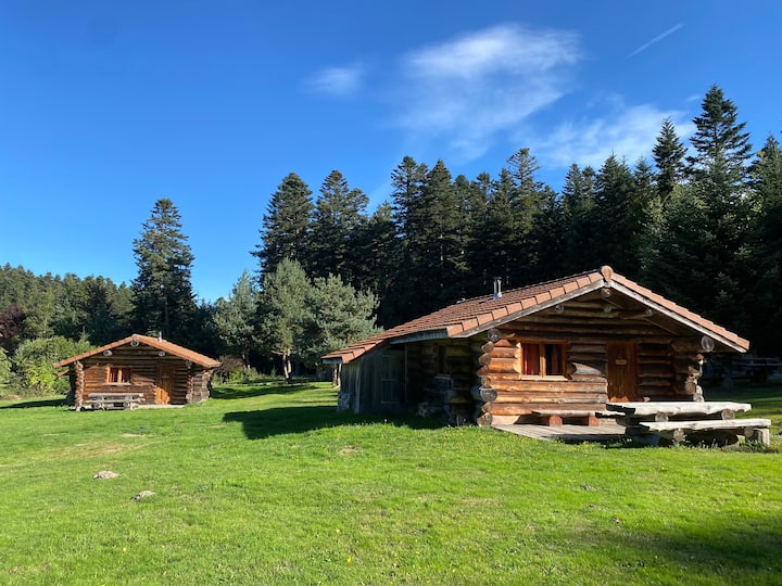2 Chalets En Bois – Nature & Calme Jusqu’à 8 Pers. - Saint-Étienne