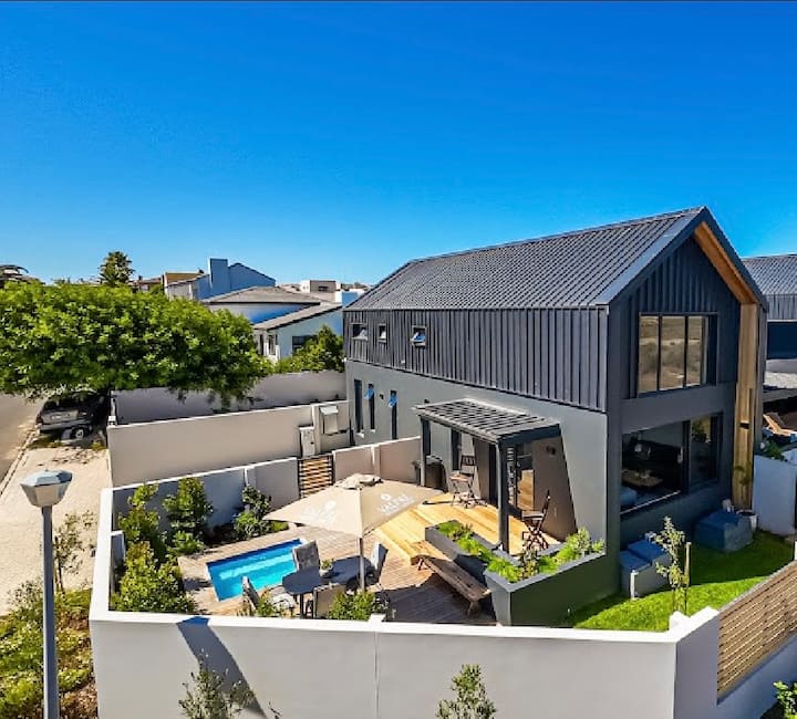 The Black Harrier - Langebaan