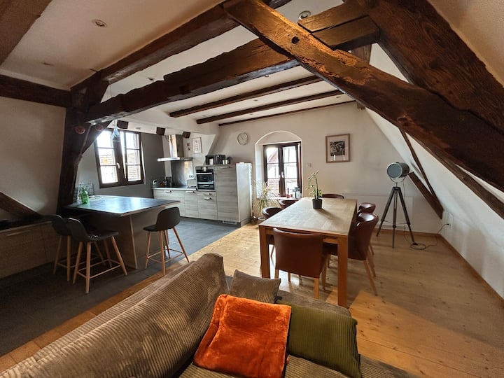 Charmant Duplex Au Cœur De Sélestat - Sélestat