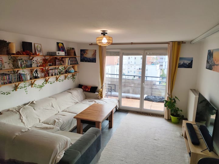 Appartement Cosy, Calme Et Lumineux à Strasbourg - Strasbourg