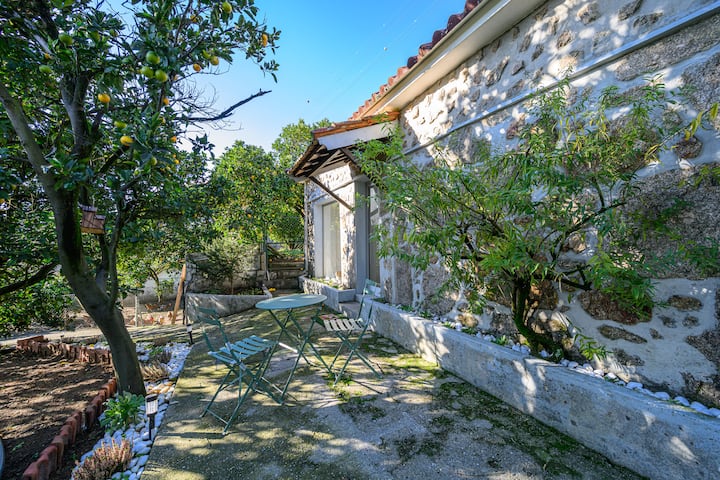 A Casinha - Refúgio Rural - Mozelos