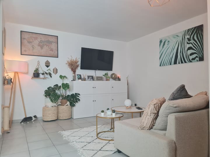 Appartement 50m² Au Rdc Avec Jardin - Alsace