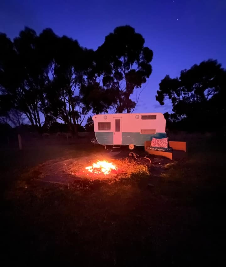 Milly The Millard - Torquay