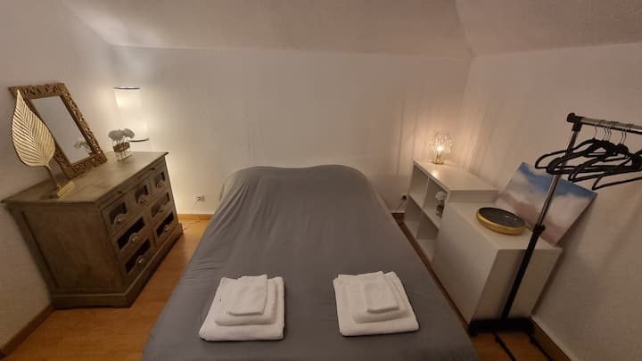 Charmant Duplex Avec Terrasse - Quartier Prisé - Mulhouse