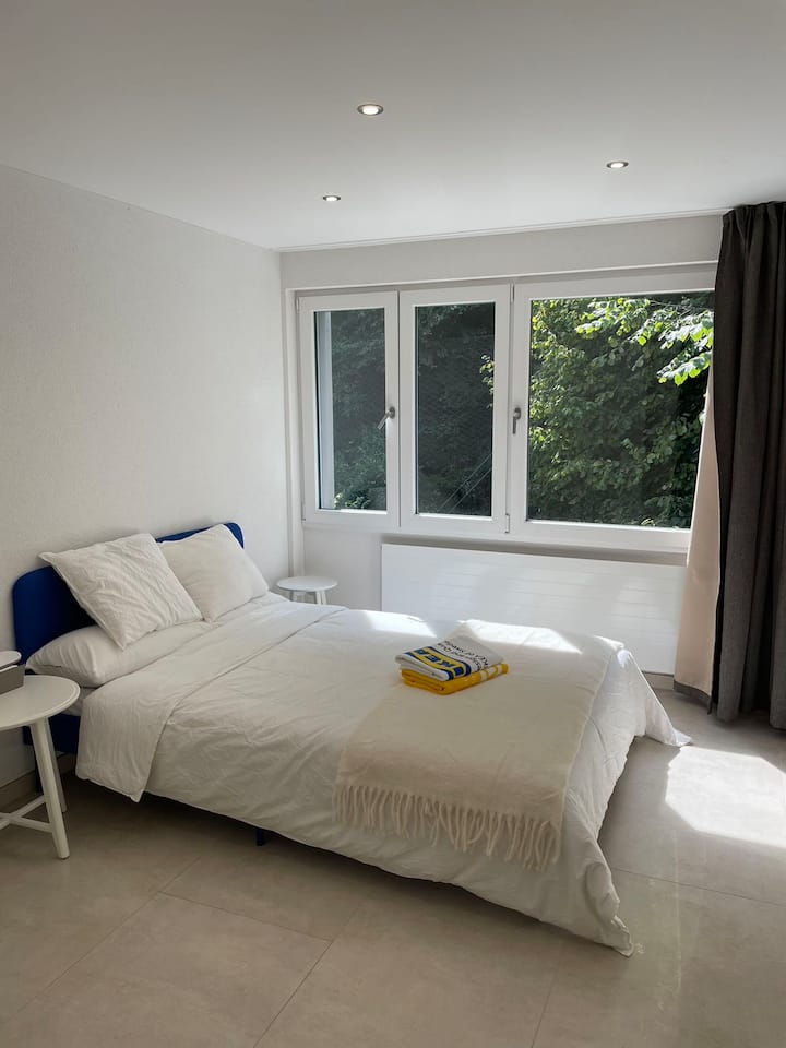 A Easy Transportation Apartment In Central Lucerne - Lucerne