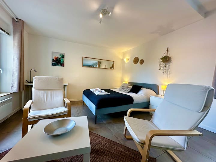 M 101 Studio Pause Détente Proche Centre Metz - Woippy