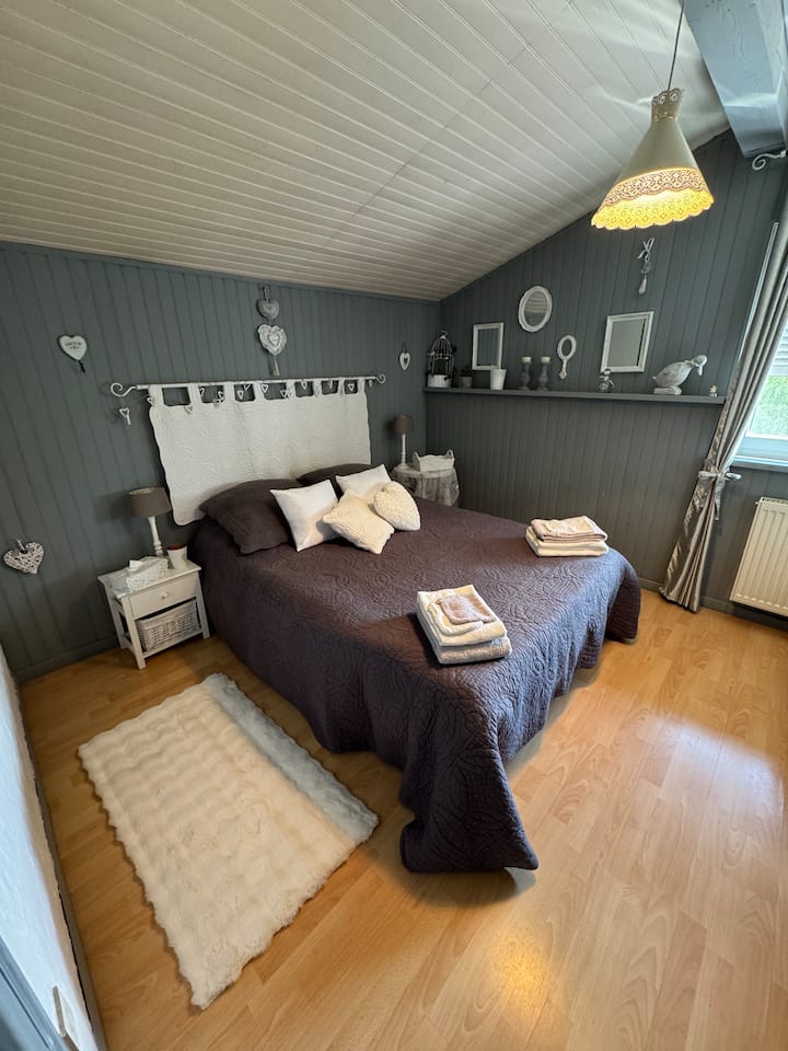 Le Gîte Des Trois Oies - Sarreguemines