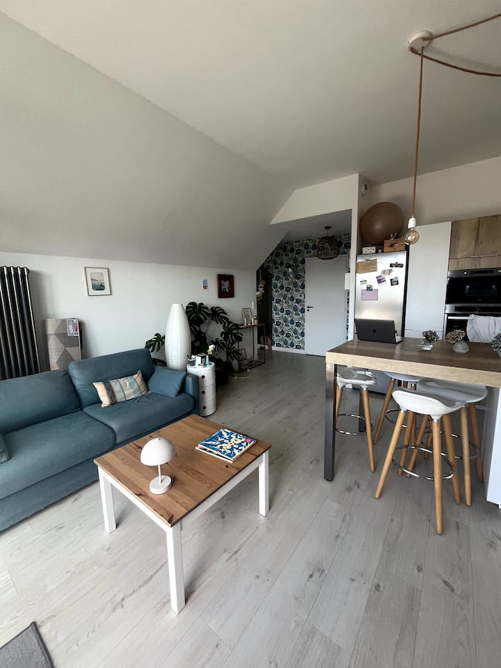 Appartement Les Pieds Dans L'eau - Arradon