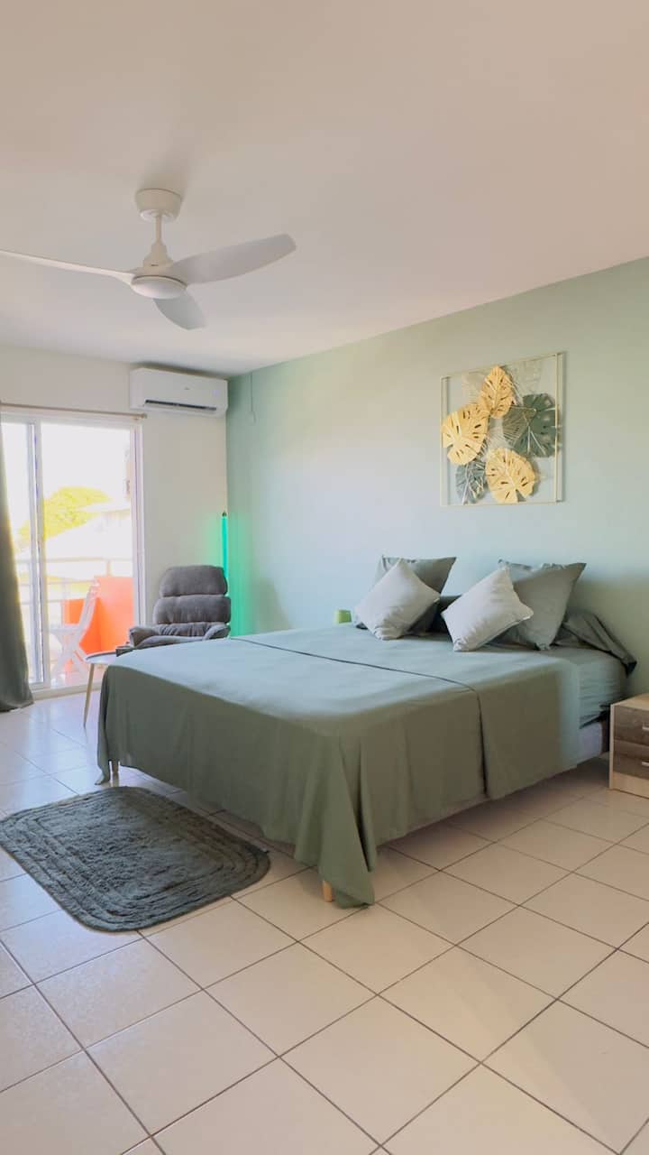 Studio Toucan : Spacieux - Centre - Clim&confort - Cayenne