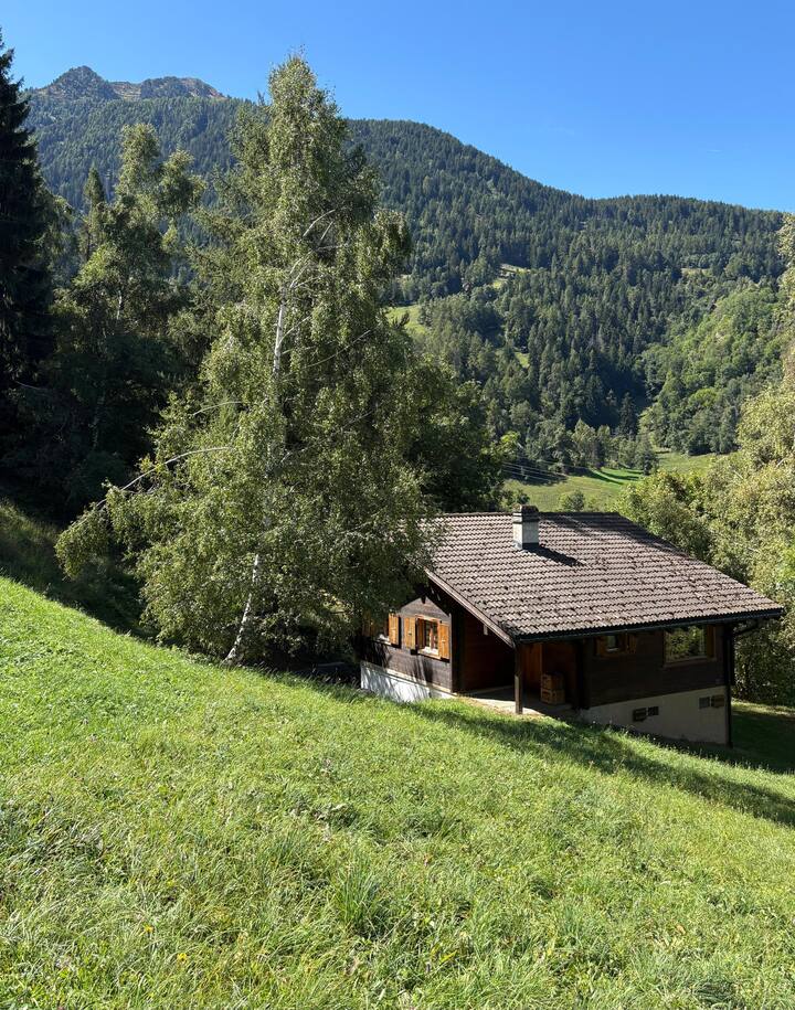 Chalet Plan-désert - Thyon