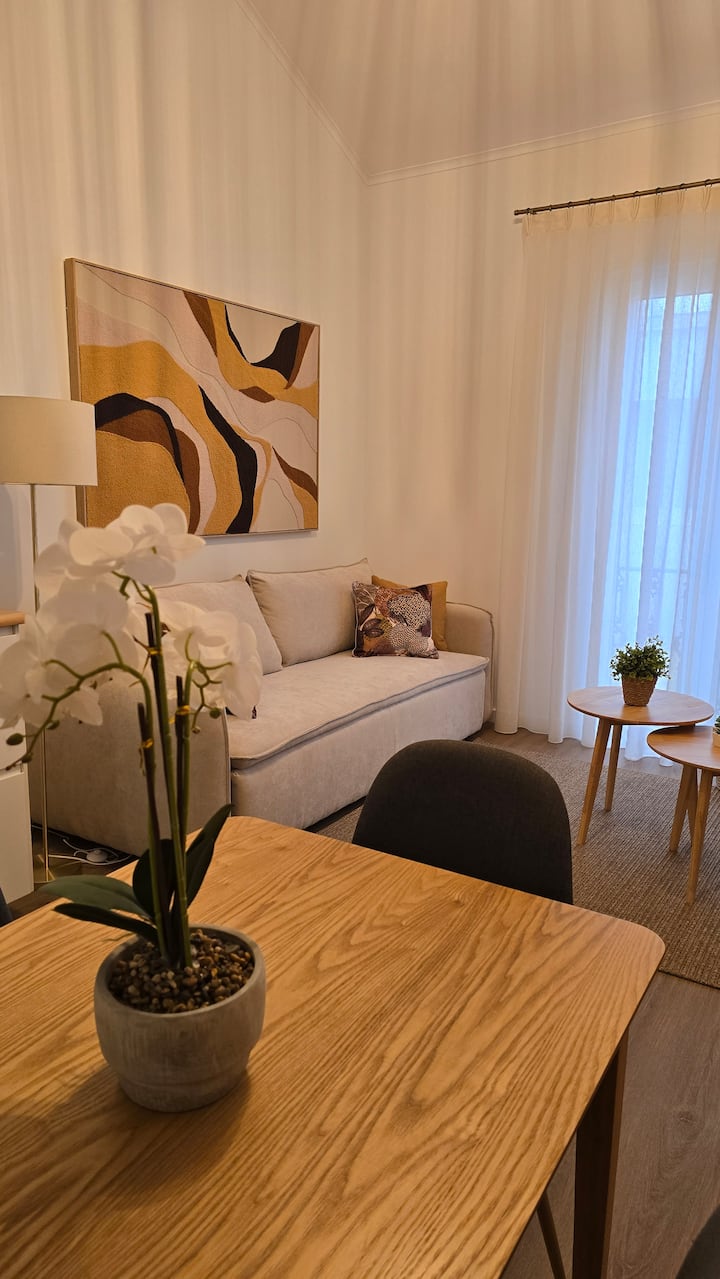 Passal Residence 1 - Free Private Parking - Ponta Delgada