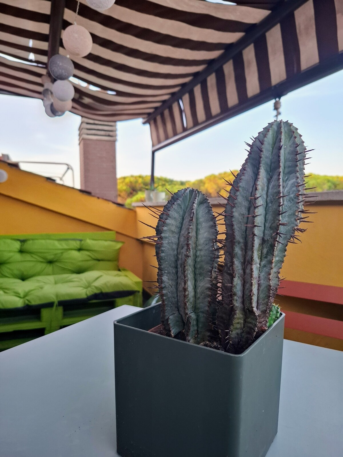 Design-Penthouse | Self-Check-in | IFO Mostacciano - Wohnungen zur ...