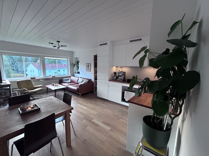 Koselig Leilighet Ved ÅRvoll - Oslo