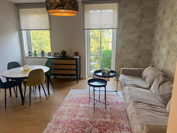 Cocon Design, Proche Tram, Gare Et Centre Ville - Schiltigheim