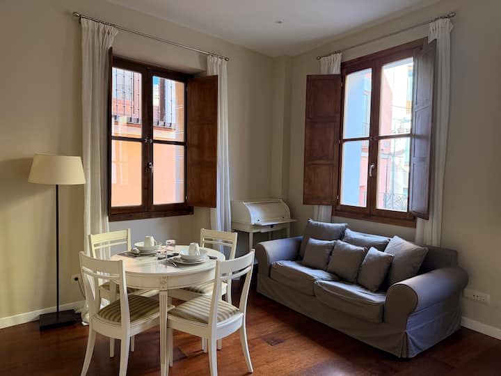 Apartamento En El Centro De Toledo Smartmonki 1a - Toledo