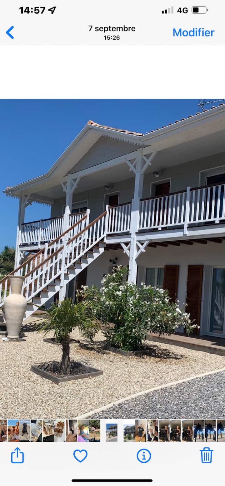 Appartement Bord Du Bassin - Gujan-Mestras