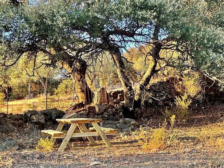 Refugio Ideal. Casa Rural En La Sierra De Aracena. - Aracena