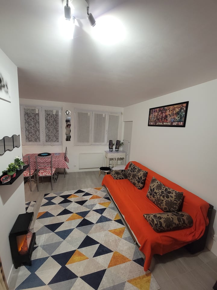 Super Studio 22m², Proche Gare - Saran