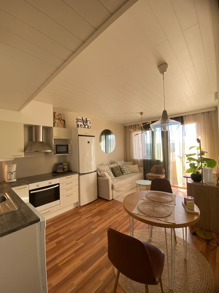 Rauhallinen Kaksio Porvoossa - Porvoo