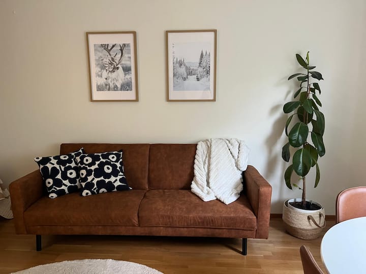 Ahkio Apartment - Rovaniemi