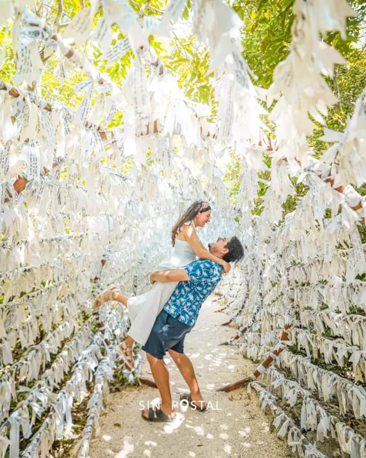 Cancun Zona Sur - Santuario Desatadora De Nudos - Cancún