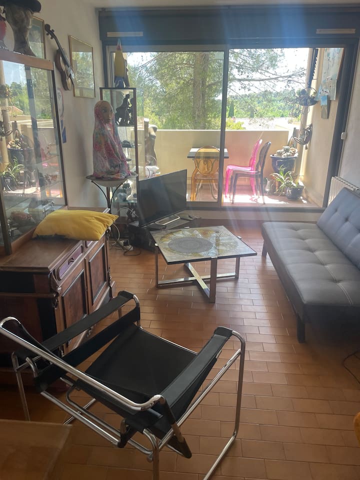 T2 Lumineux Avec Terrasse - Montpellier
