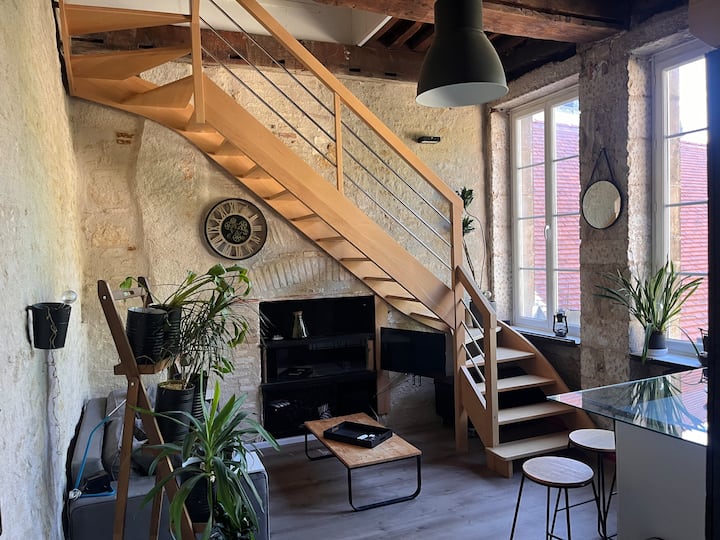 Loft Chez T - Séjour Au Cœur De Dijon - Dijon