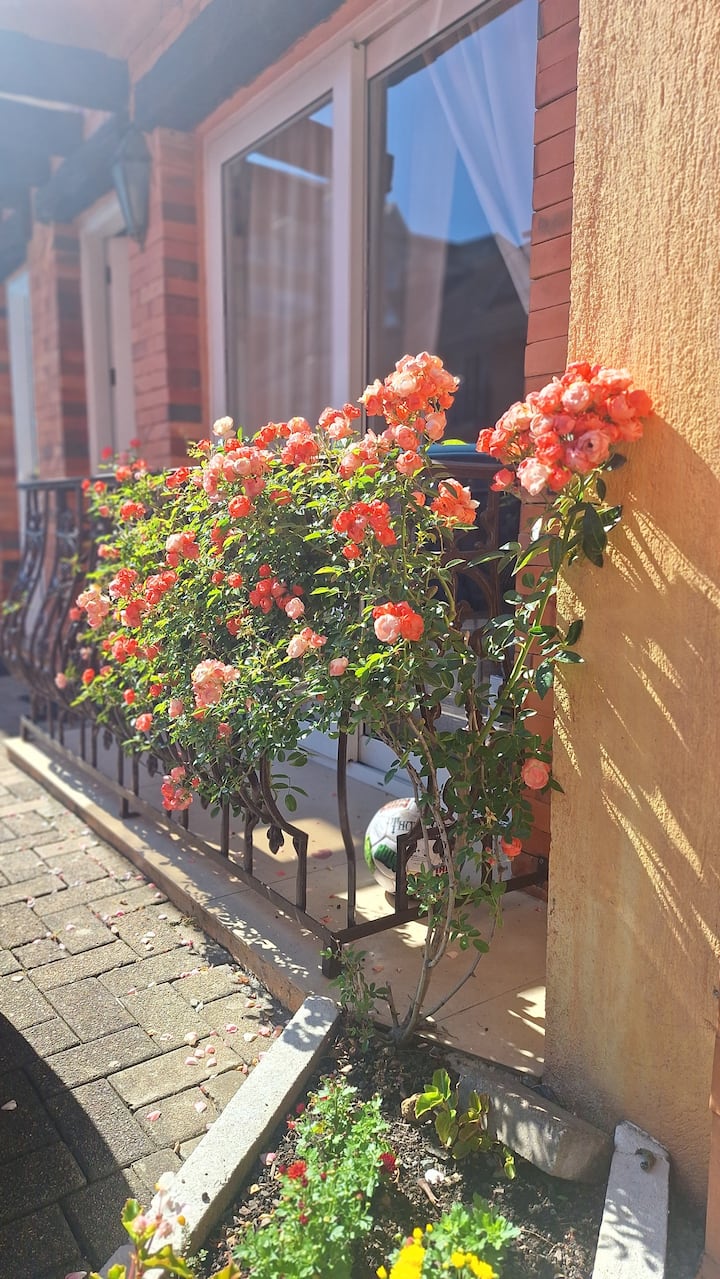 Casa Em Vila Charmosa Na Melhor Localização - Canela